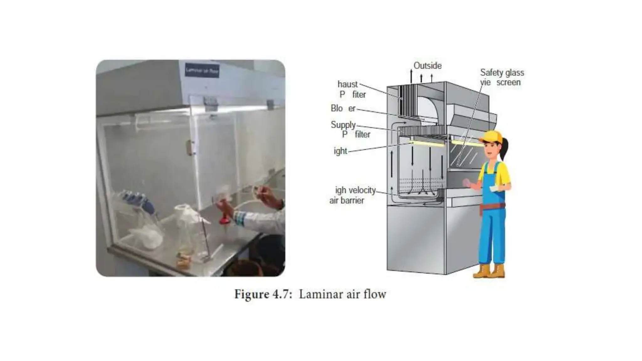 Methods and Principle of sterilization (Filtration).pptx
