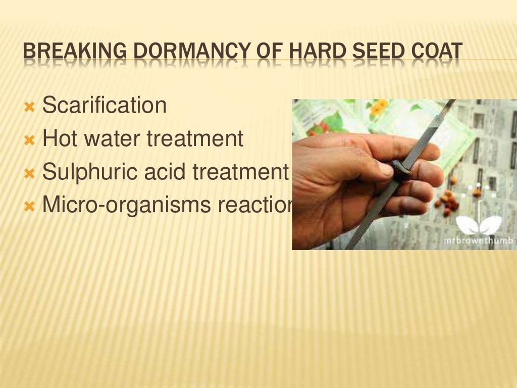 Methods For Breaking Seed Dormancy