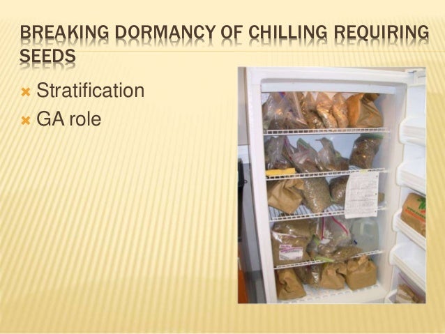 Methods For Breaking Seed Dormancy