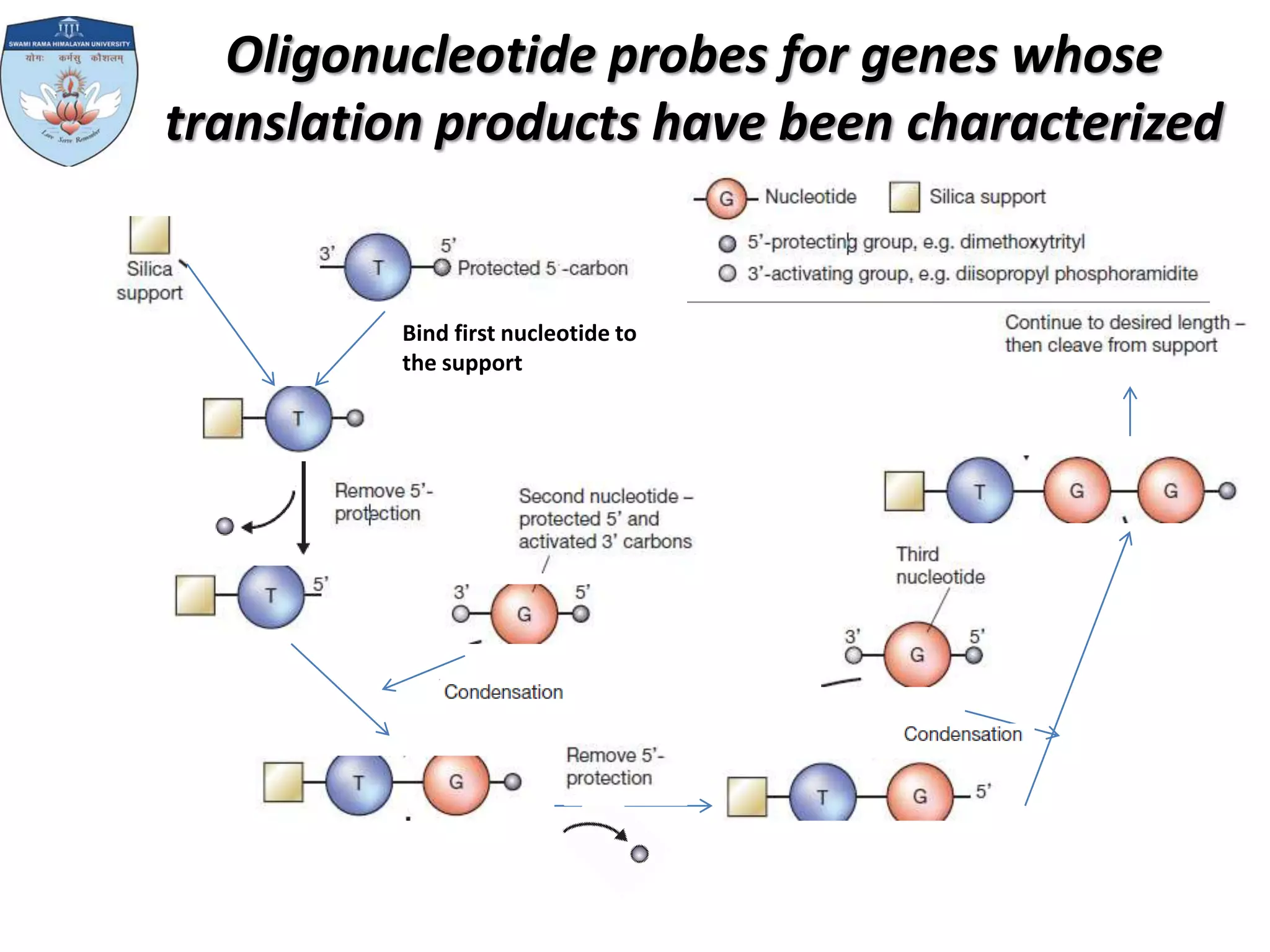 Methods for clone identification | PPTX | Chemistry | Science