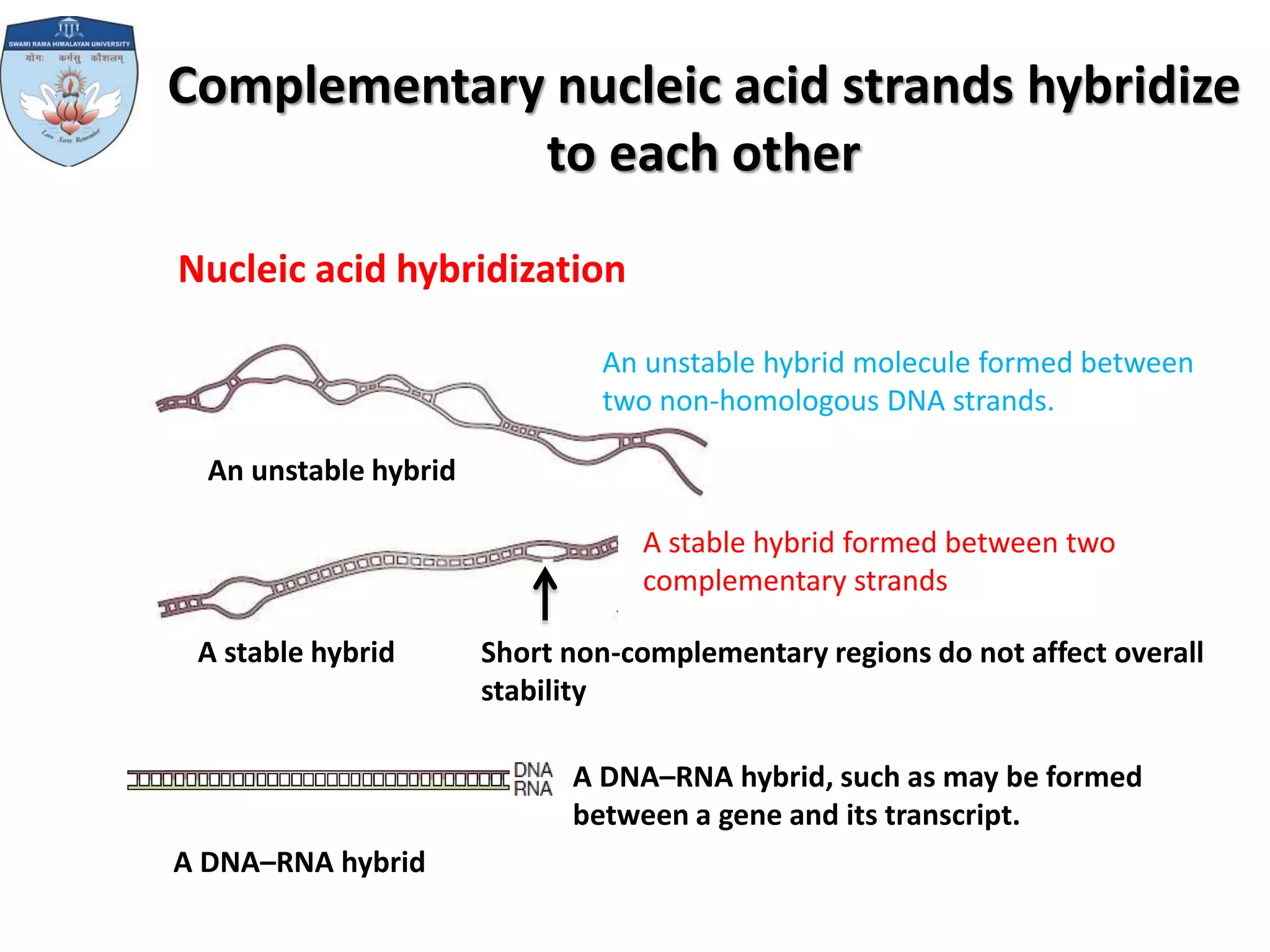Methods for clone identification | PPTX