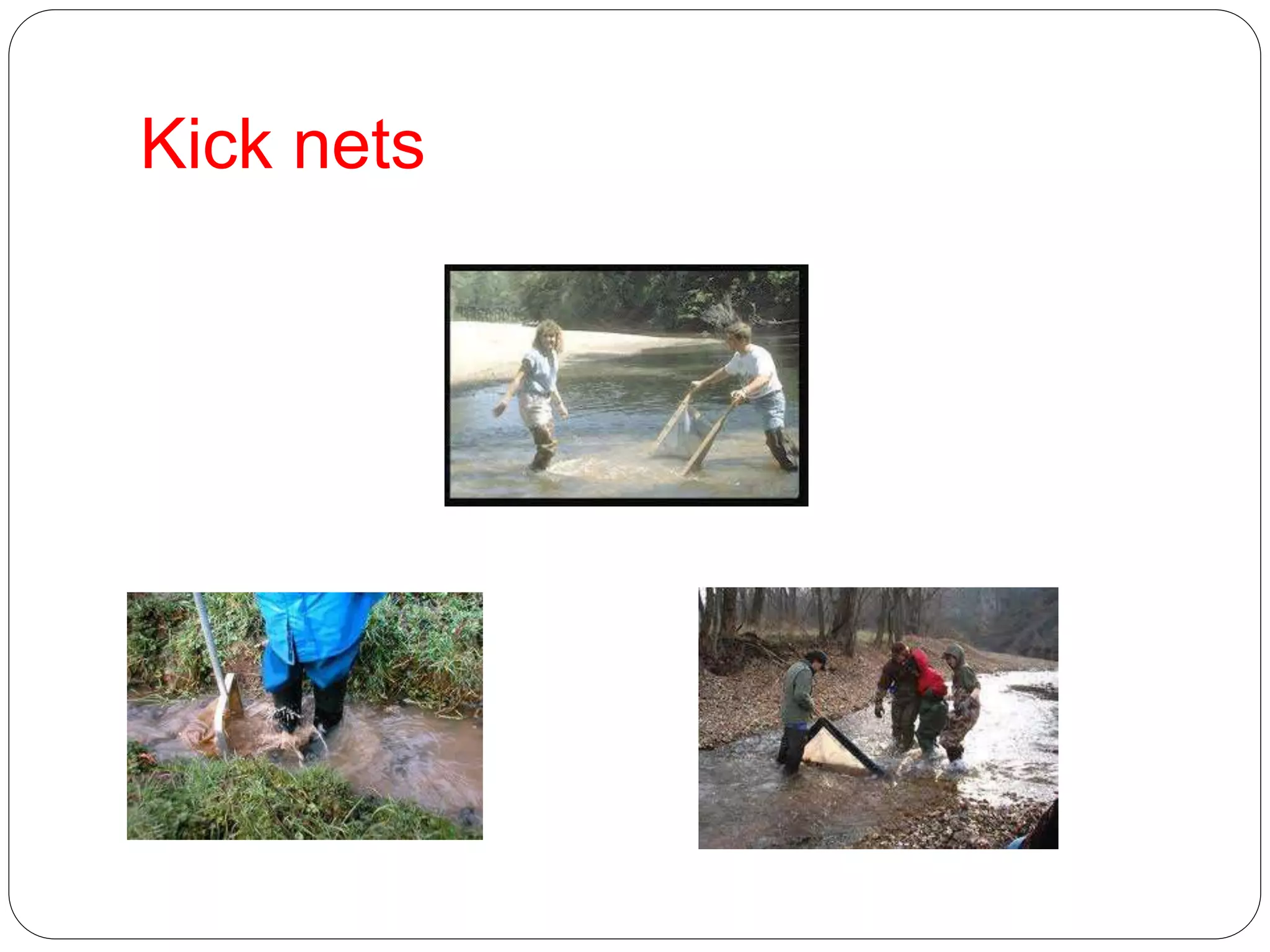 Methods for collecting invertebrates | PPTX