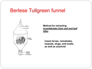 Methods for collecting invertebrates | PPTX
