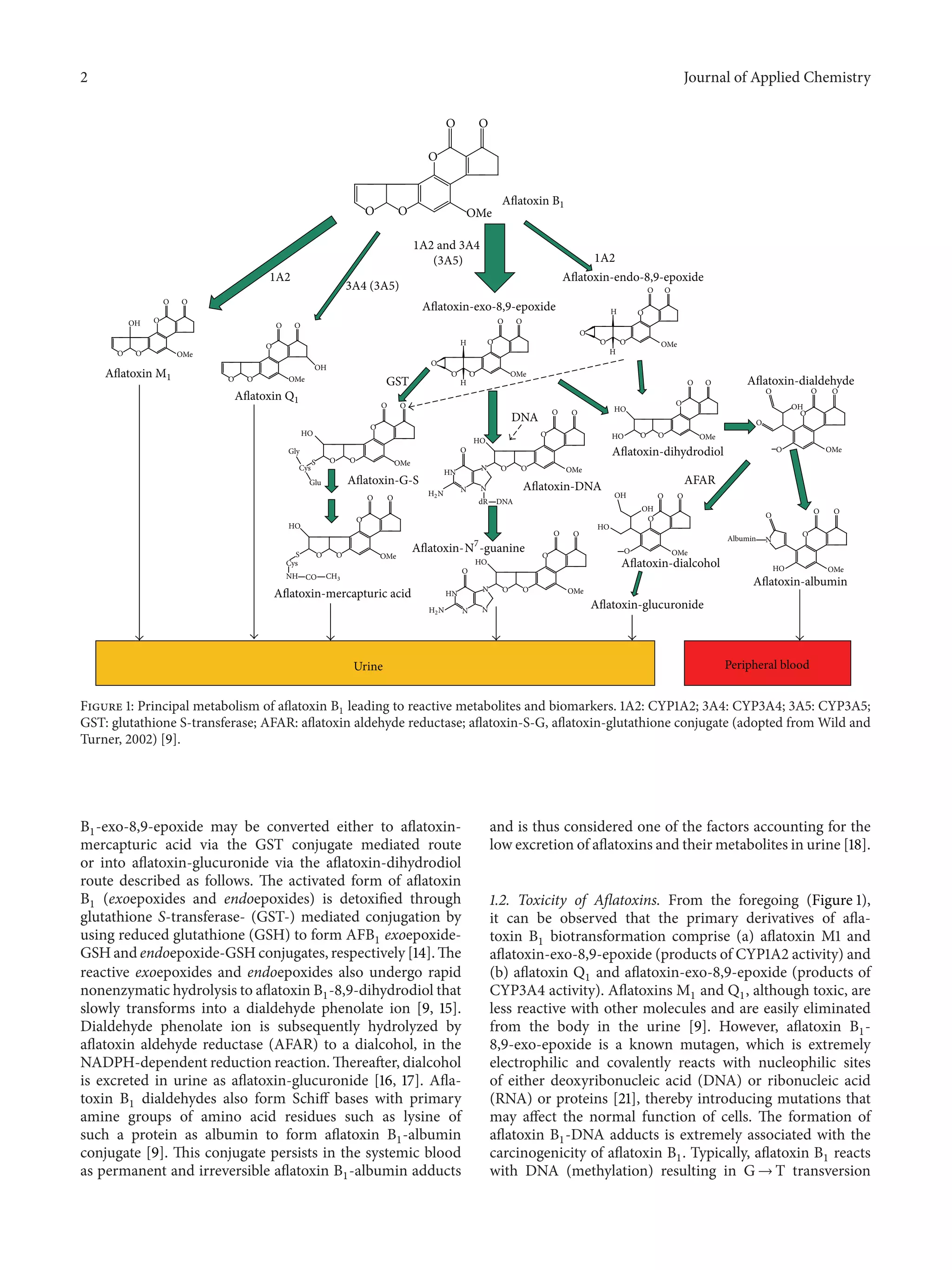 Methods for detection of aflatoxins in agricultural food crops | PDF | Chemistry | Science