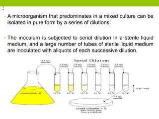 Methods for isolation of pure culture | PPTX