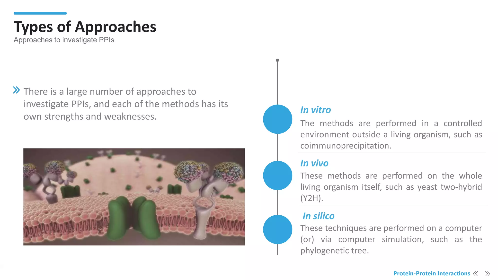 Methods to Detect Protein-Protein Interaction | PPTX
