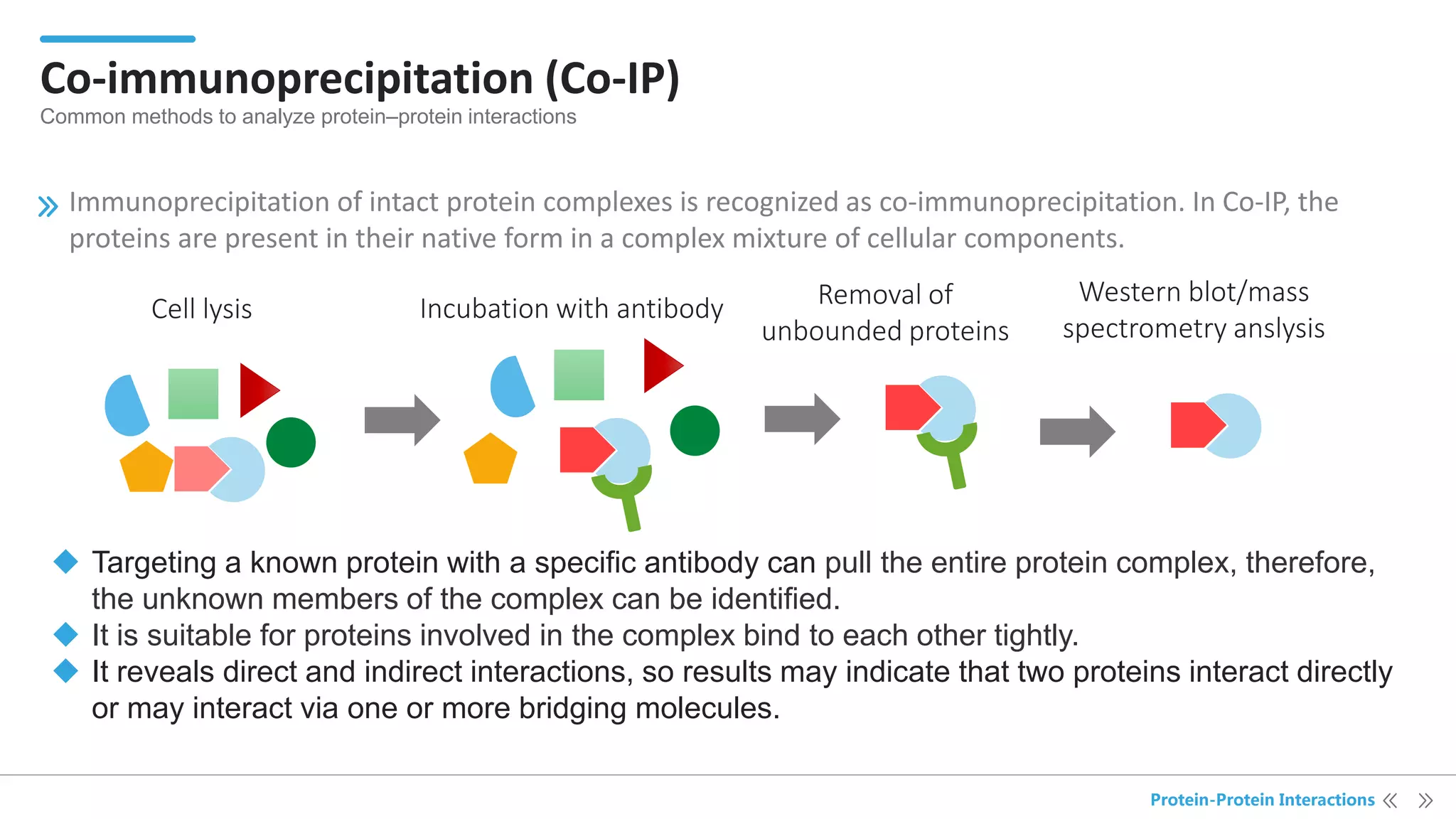 Methods to Detect Protein-Protein Interaction | PPTX