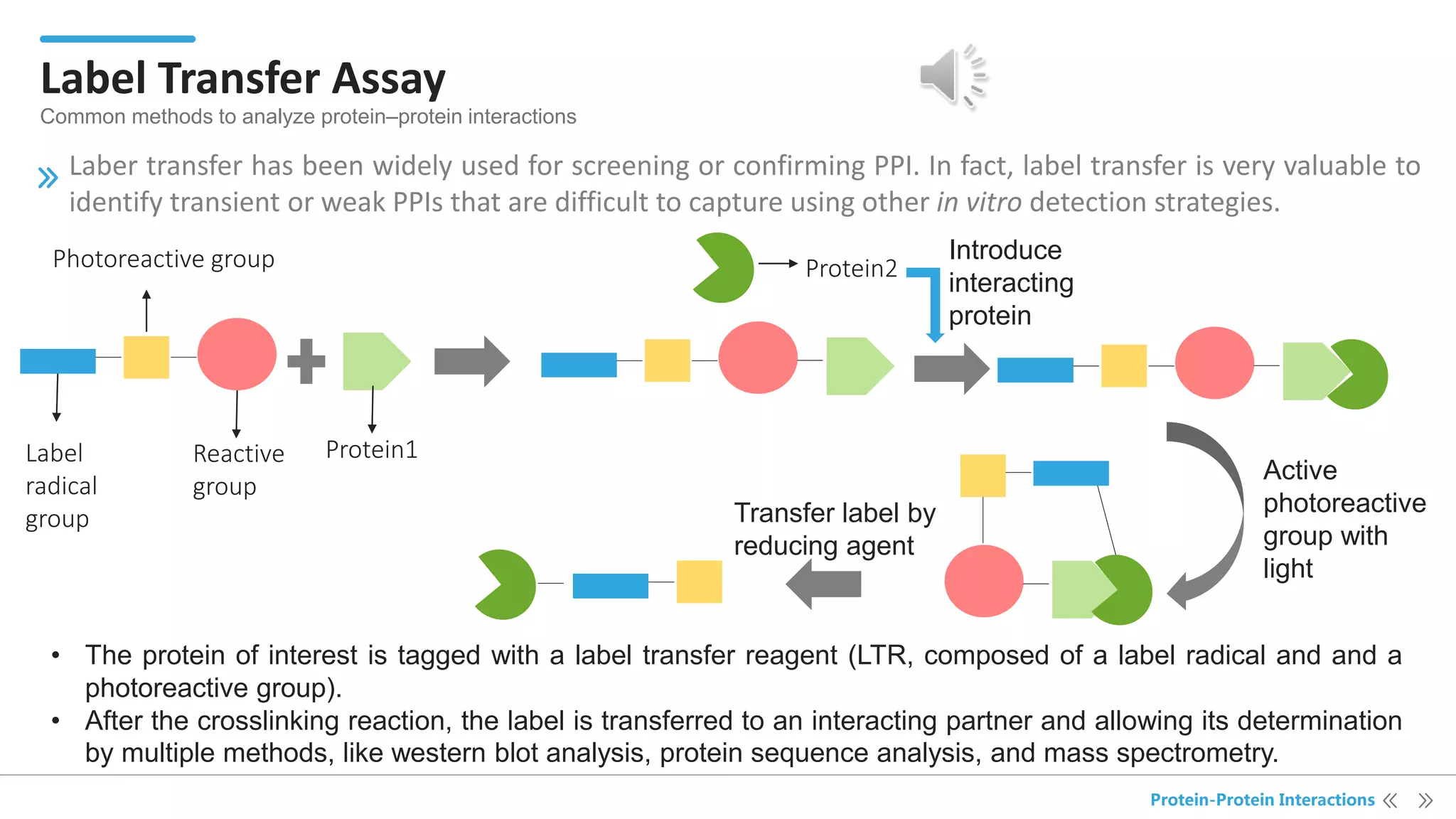 Methods to Detect Protein-Protein Interaction | PPTX