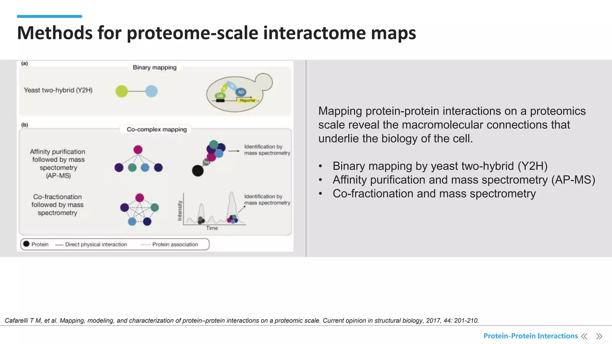 Methods to Detect Protein-Protein Interaction | PPTX