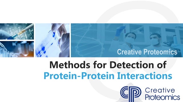 Methods to Detect Protein-Protein Interaction | PPTX