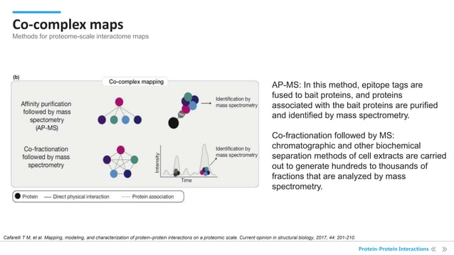 Methods to Detect Protein-Protein Interaction | PPTX