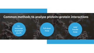Methods to Detect Protein-Protein Interaction | PPTX