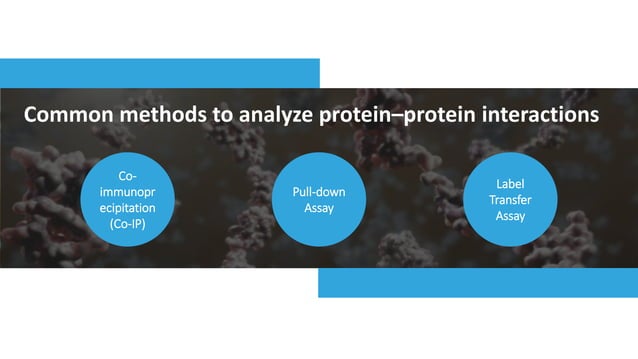 Methods to Detect Protein-Protein Interaction | PPTX