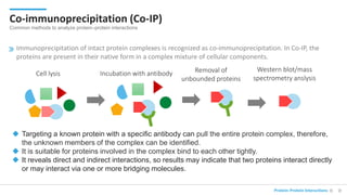 Methods to Detect Protein-Protein Interaction | PPTX