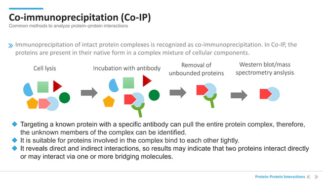 Methods to Detect Protein-Protein Interaction | PPTX