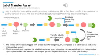 Methods to Detect Protein-Protein Interaction | PPTX