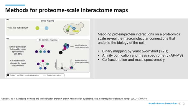 Methods to Detect Protein-Protein Interaction | PPTX