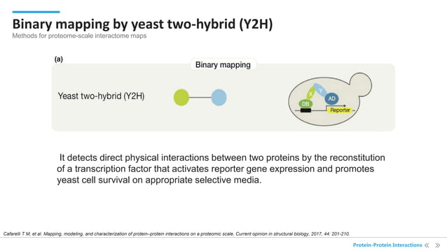 Methods to Detect Protein-Protein Interaction | PPTX