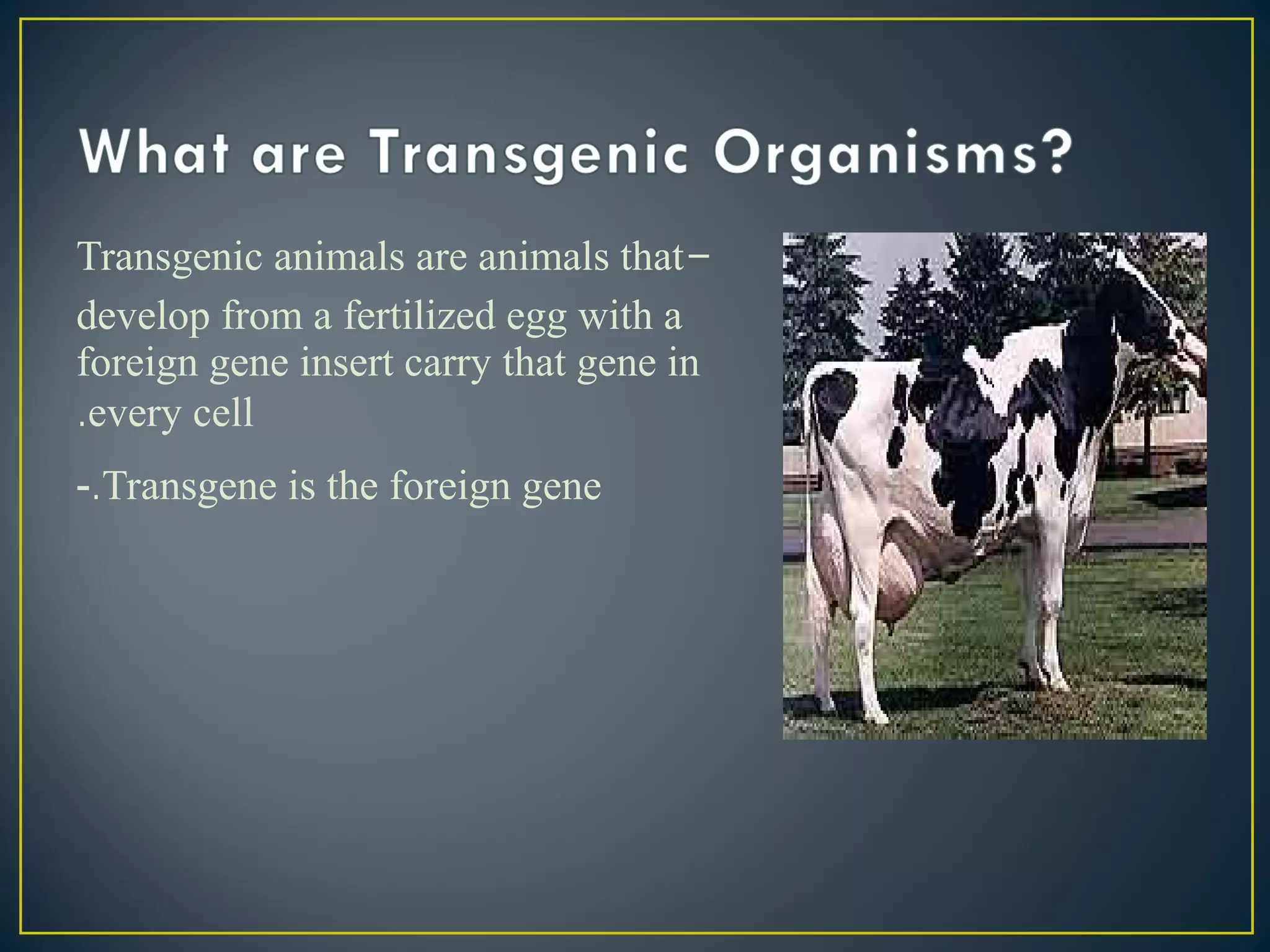 Methods for producing_transgenic_animals | PPT
