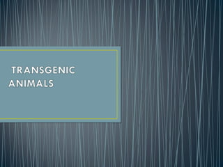Methods for producing_transgenic_animals | PPT