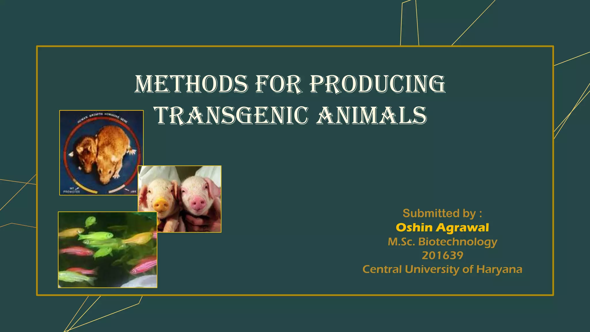 Methods for producing transgenic animals | PPTX