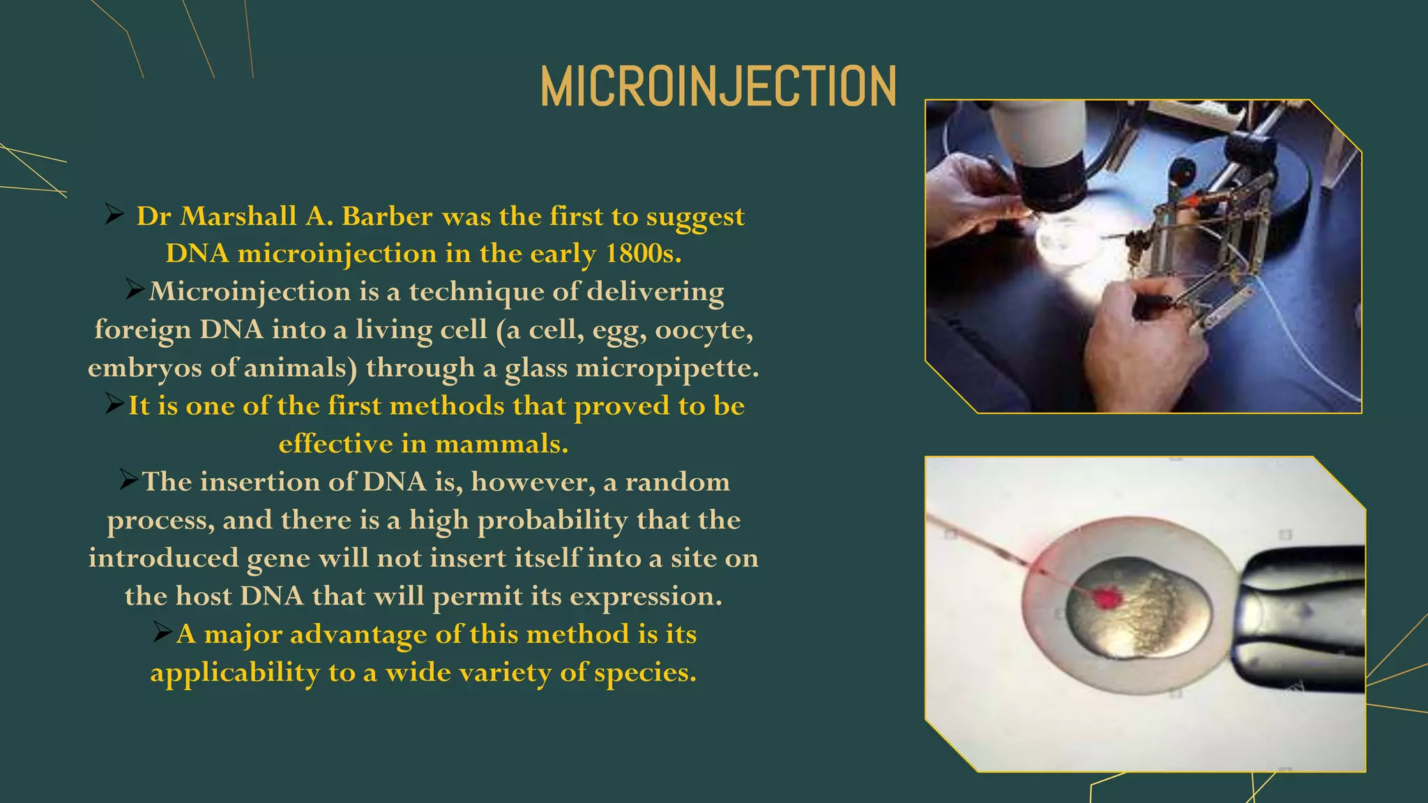Methods for producing transgenic animals | PPTX