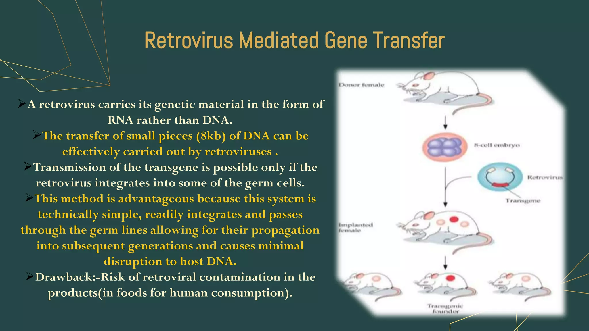Methods for producing transgenic animals | PPTX
