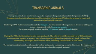 Methods for producing transgenic animals | PPTX