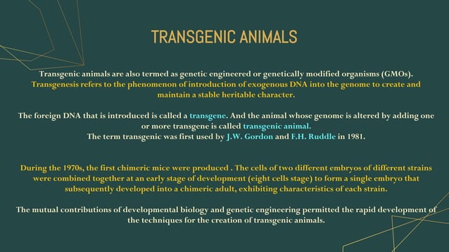 Methods for producing transgenic animals | PPTX