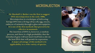 Methods for producing transgenic animals | PPTX
