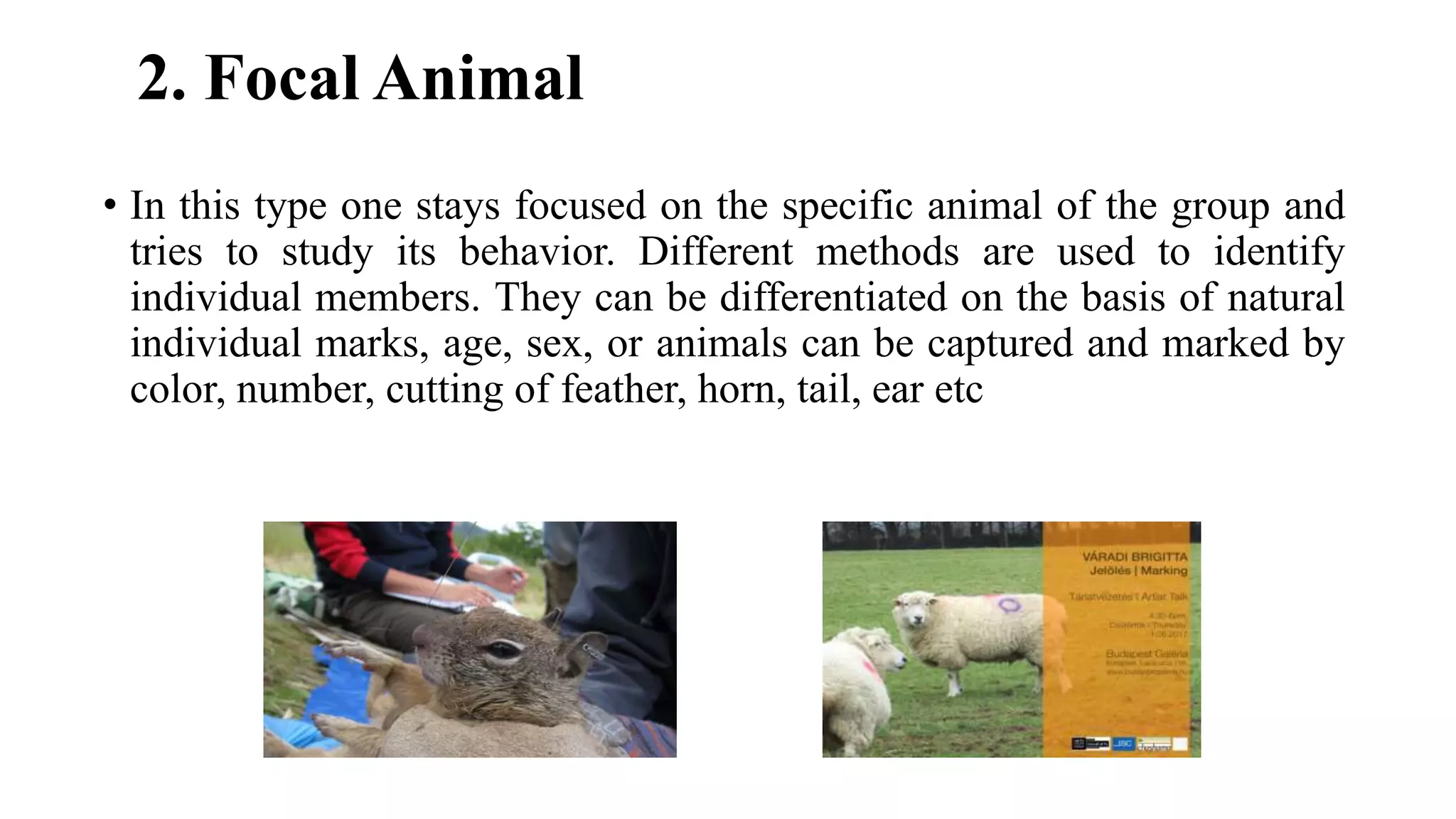 Methods for studying behaviour | PPTX