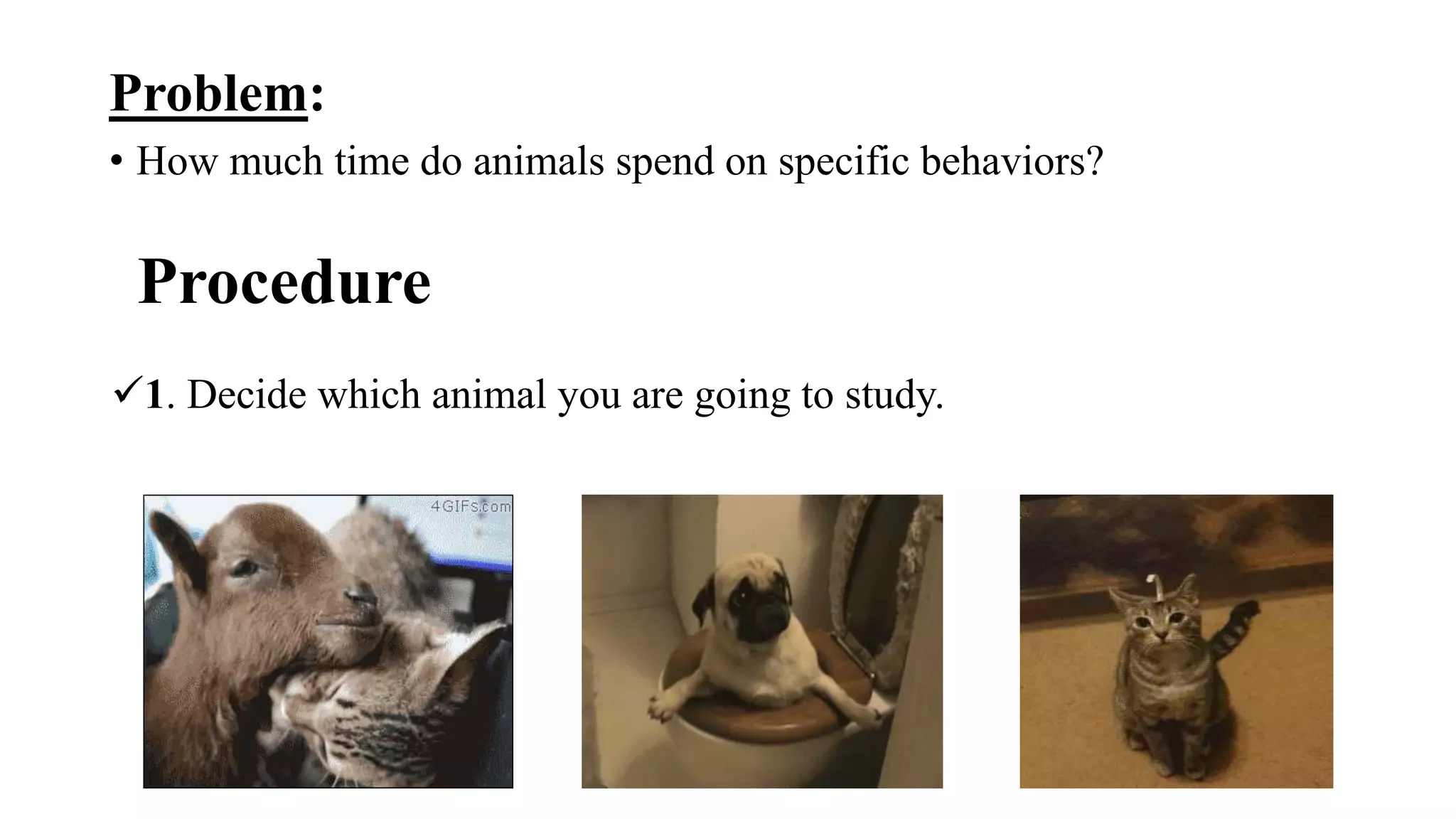 Methods for studying behaviour | PPTX