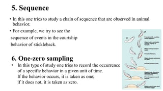 Methods for studying behaviour | PPTX