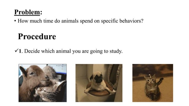 Methods for studying behaviour | PPTX | Biological Sciences | Science
