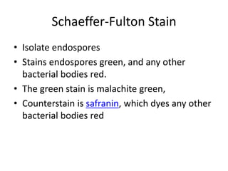 methods in diagnostic microbiology ppt.pptx