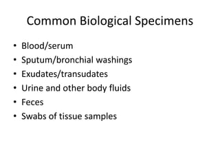methods in diagnostic microbiology ppt.pptx