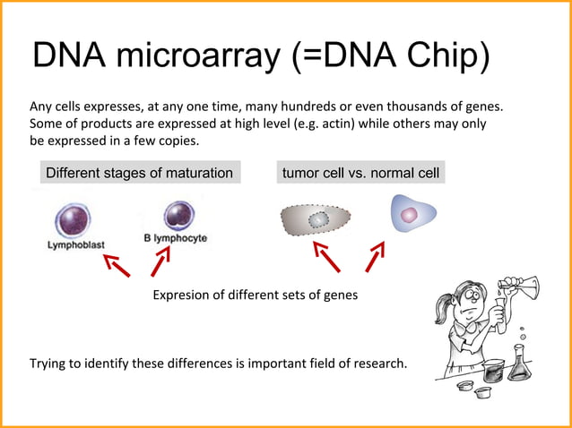Methods in molecular_biology | PPT | Chemistry | Science