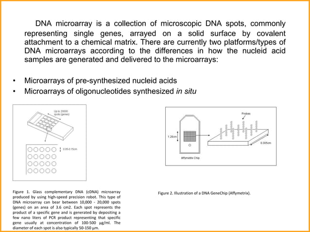 Methods in molecular_biology | PPT | Chemistry | Science