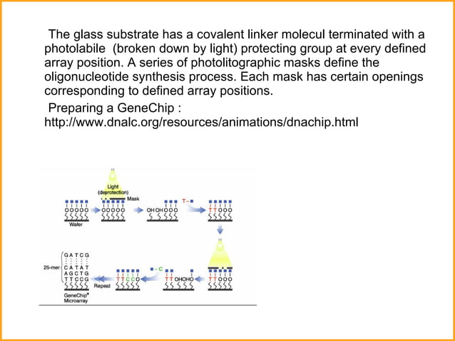 Methods in molecular_biology | PPT | Chemistry | Science