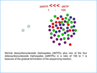 Methods in molecular_biology | PPT