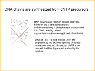 Methods in molecular_biology | PPT