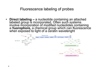 Methods in molecular_biology | PPT