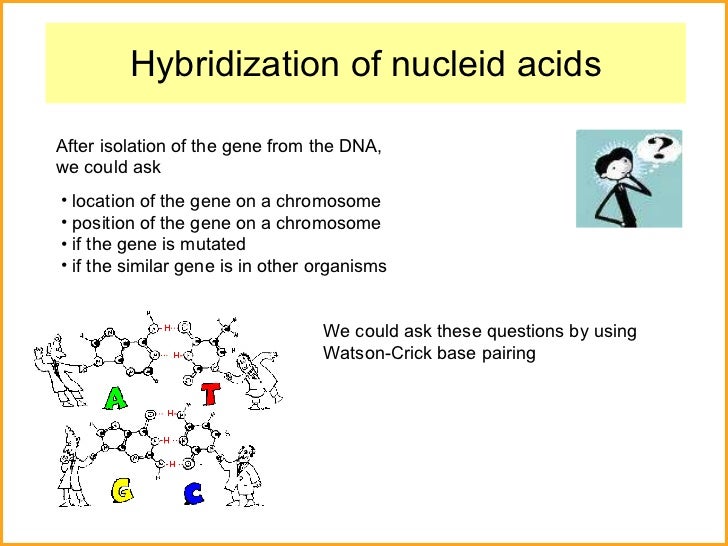 Methods In Molecular Biology