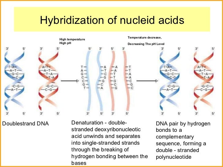 Methods in molecular_biology