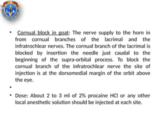 Methods of Anaesthesia Methods of Anaesthesia.pptx
