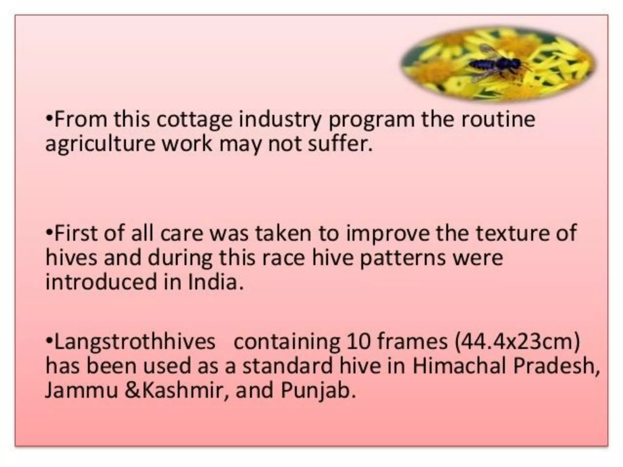 Methods of apiculture.pptx