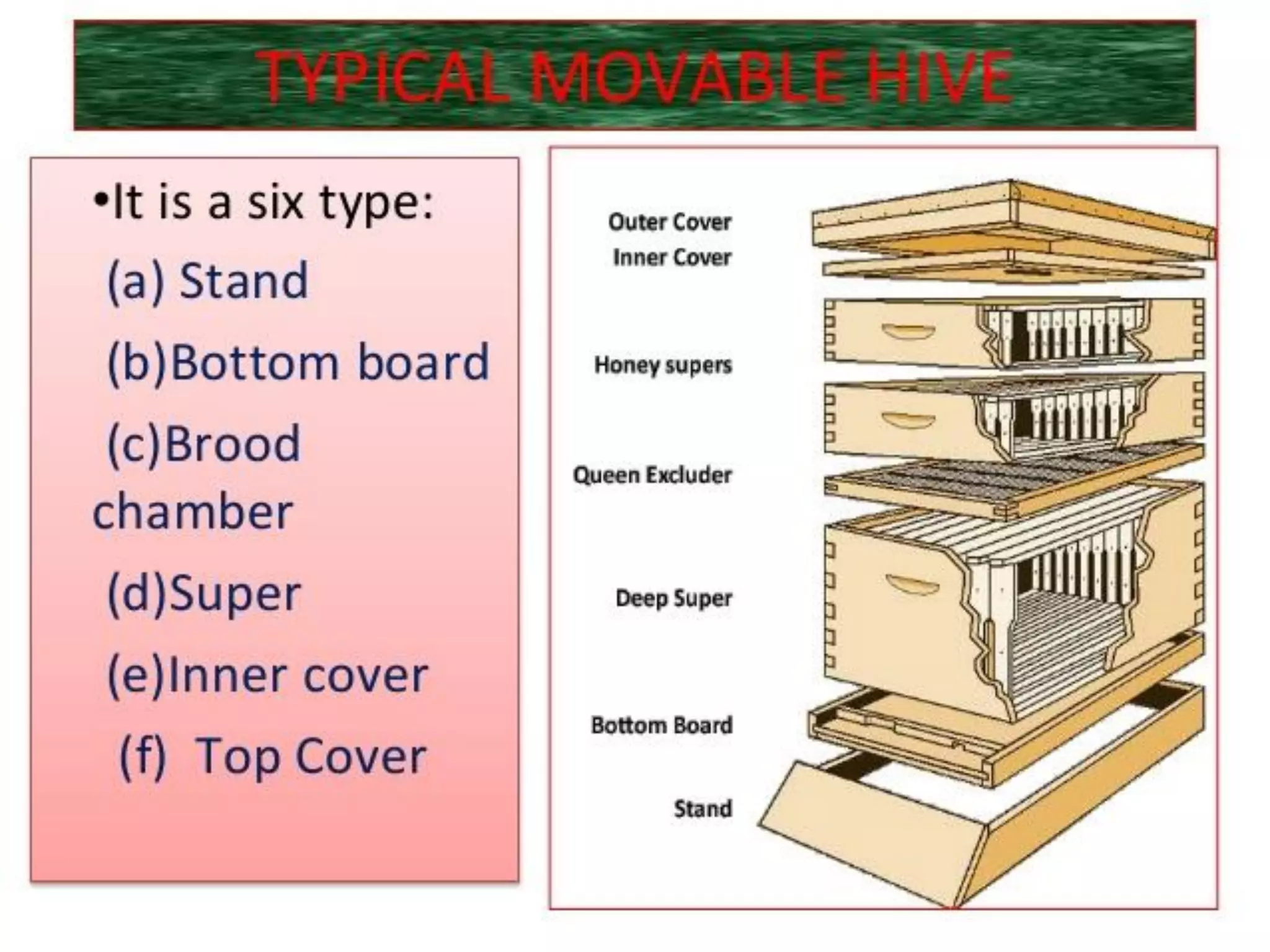 Methods of apiculture.pptx