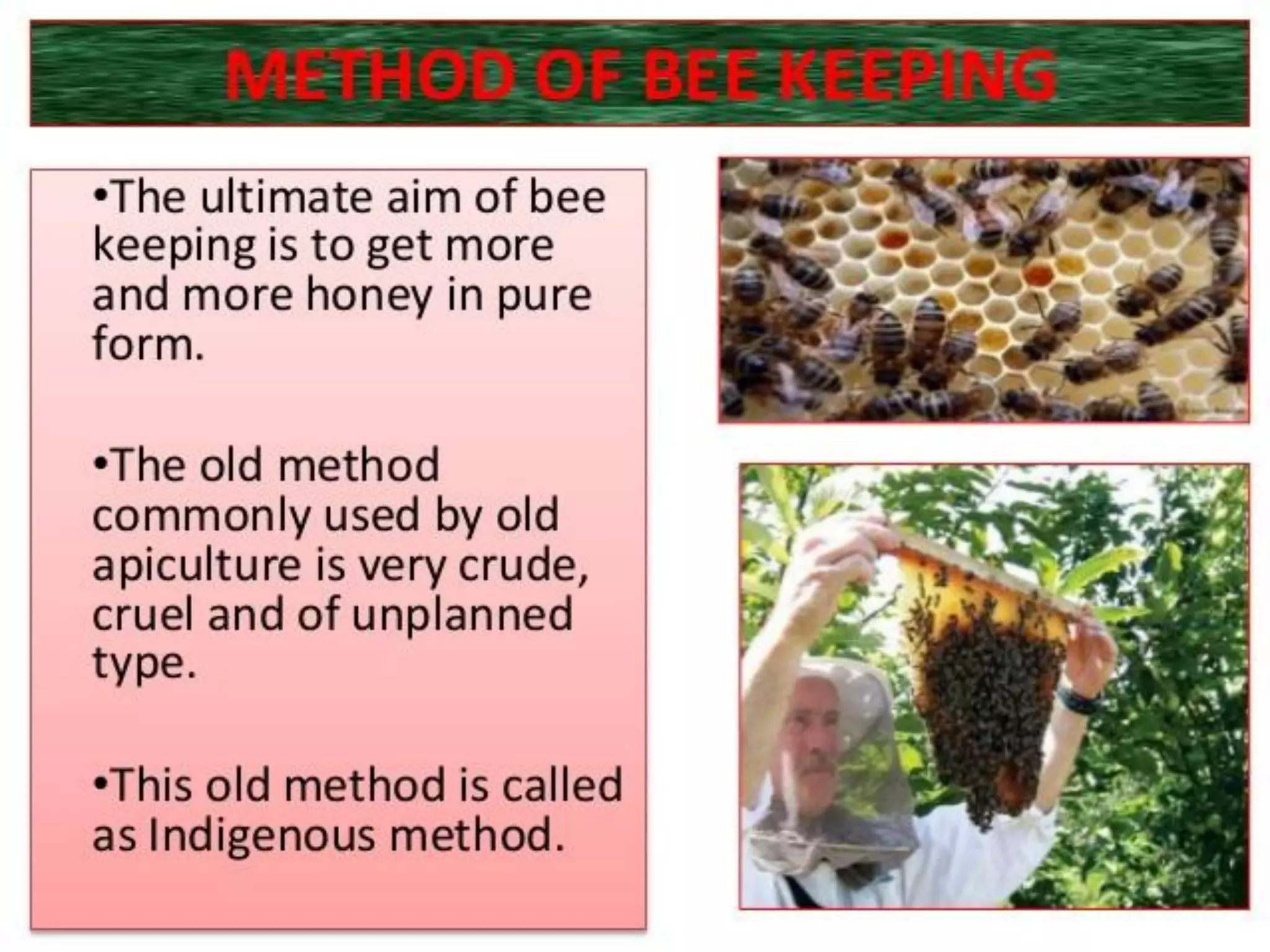 Methods of apiculture.pptx