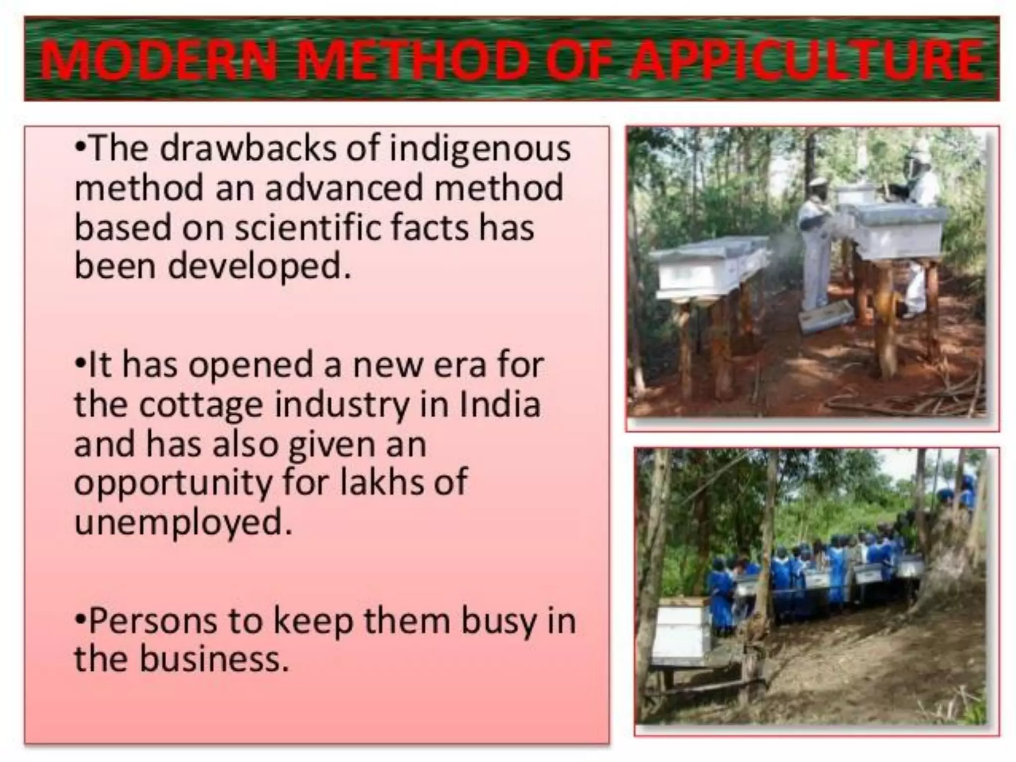 Methods of apiculture.pptx
