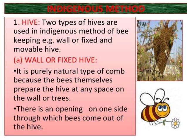 Methods of apiculture.pptx